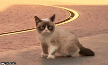 Grumpy cat blowing fire - Imgflip