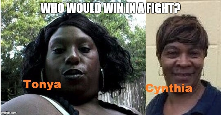 Tonya vs Cynthia - Imgflip