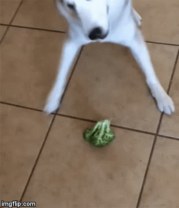 Hello, broccoli. Let me show you the dance of my people. - Imgflip