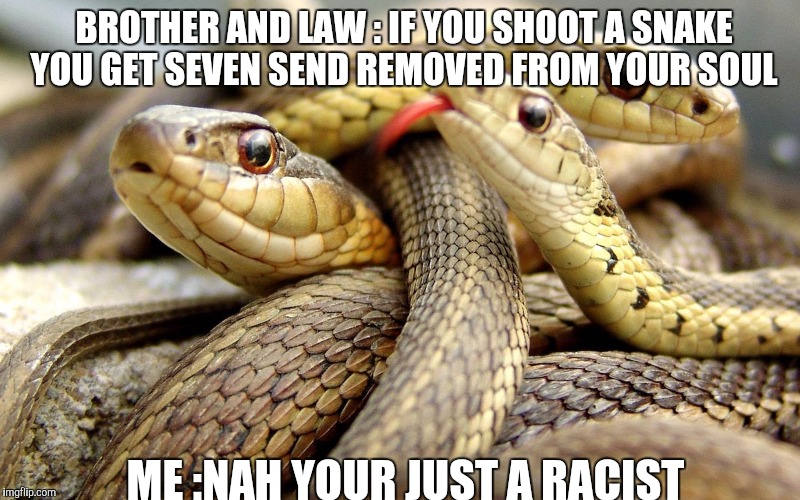 Snakes - Imgflip