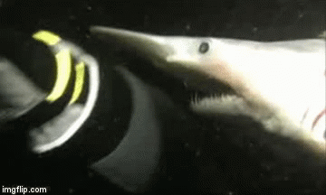 Let the nightmares begin...Now I know where the "Alien" movies came ...