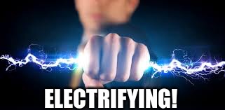 Factual RayCat - Imgflip