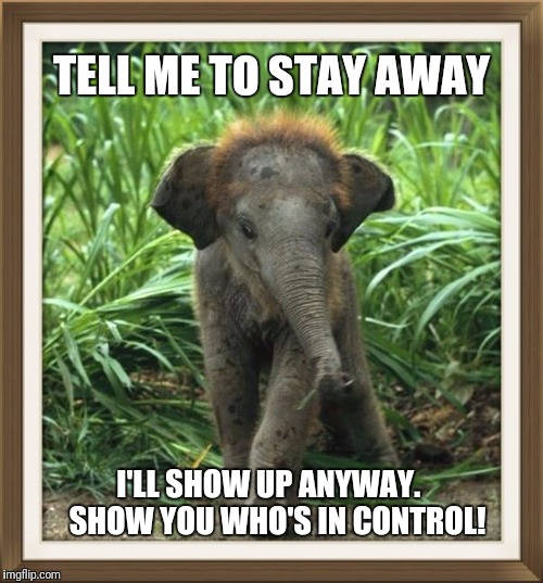 Image tagged in see control - Imgflip