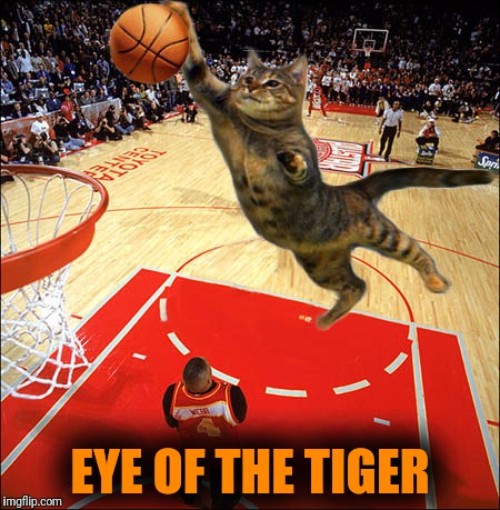 Keep your eye on the ball... - Imgflip