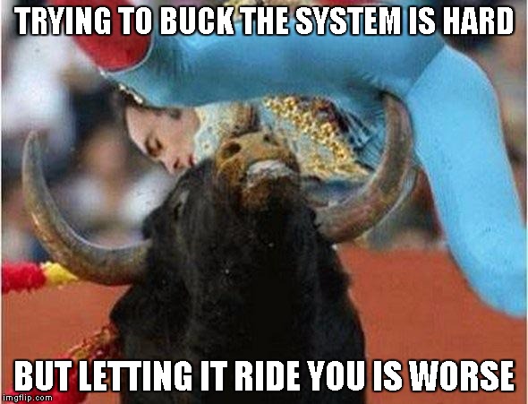 BullFighter - Imgflip