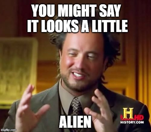 Dik-Dik Pic - Imgflip