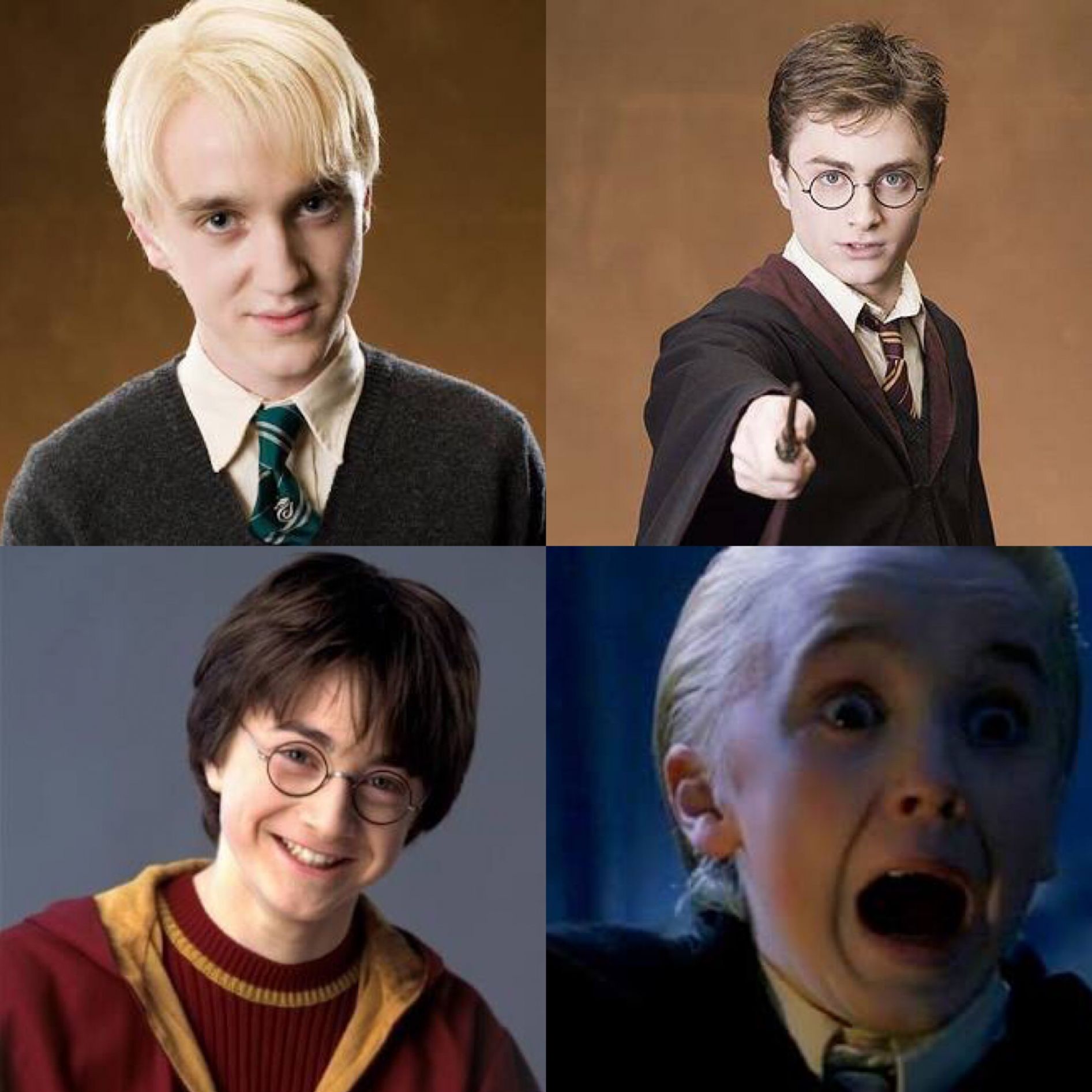 Harry Potter Meme Template