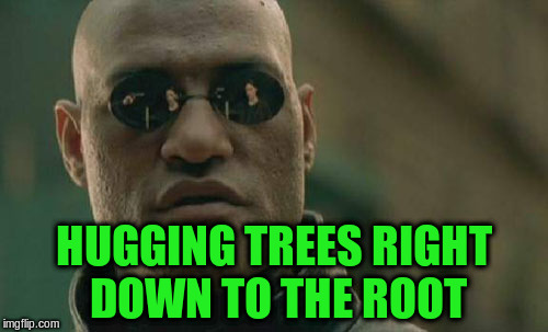 How many tree huggers live in a house without wood? - Imgflip