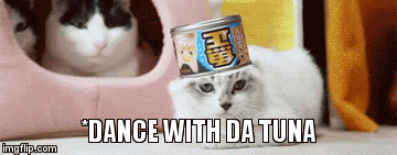 TUNA CAT - Imgflip