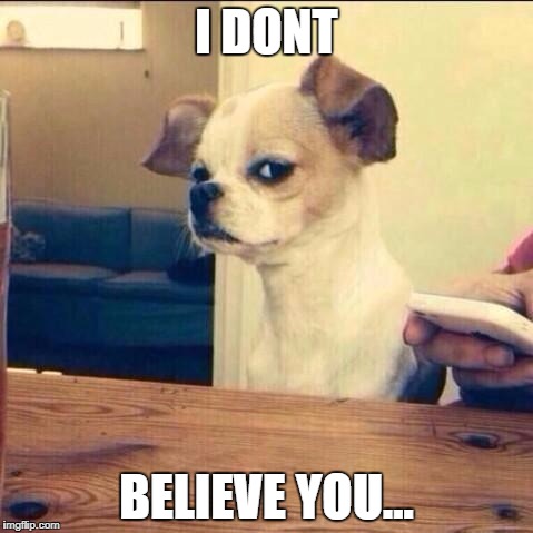 Skeptical Chihuahua - Imgflip