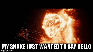 My Snek want's to say hello - Imgflip