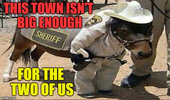 New Sheriff Memes