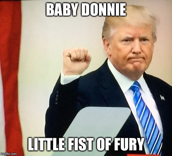 Image tagged in baby fist of fury - Imgflip