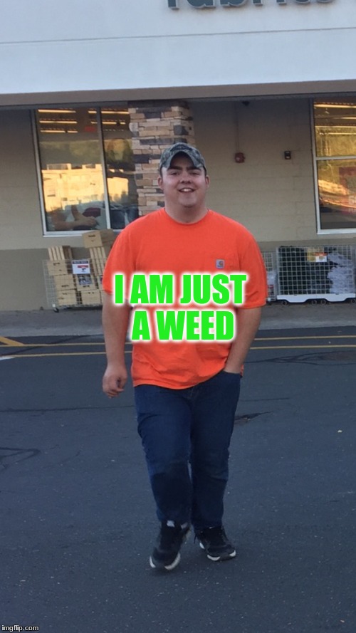 HES JUST A WEED - Imgflip