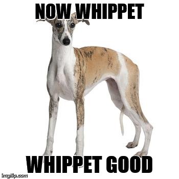 Whip It Good - Imgflip