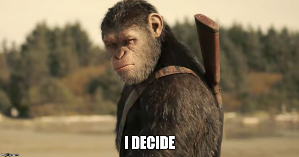 Who Decides ? - Imgflip