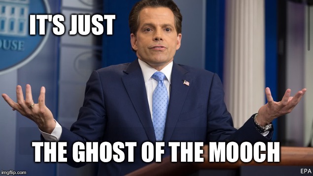 the new apprentice - Imgflip