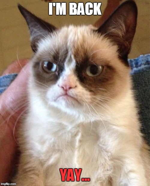 Grumpy Cat Meme - Imgflip
