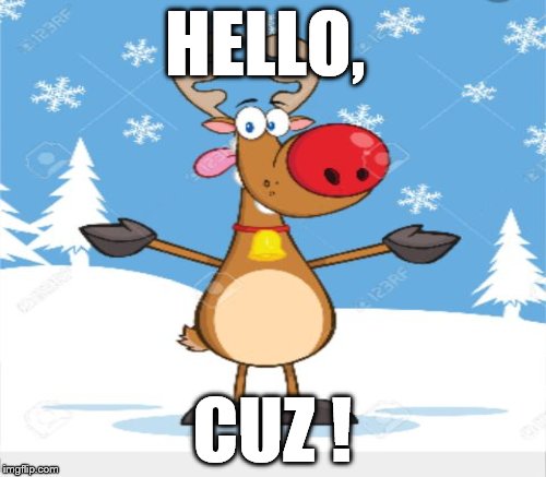 A rare white moose is seen in Gunnarskog, Varmland, Sweden. Photo TT ...