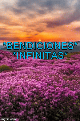 *bendiciones* *infinitas* - Imgflip