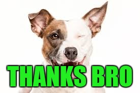 Can you see the resemblance? - Imgflip