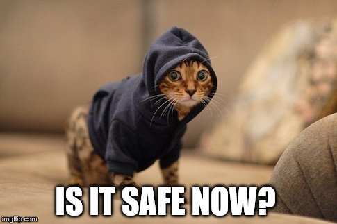 Hoody Cat Meme - Imgflip