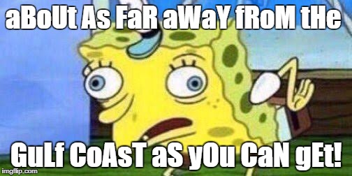 Sponge Bob mock - Imgflip