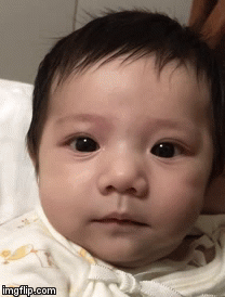 raise eyebrow - Imgflip