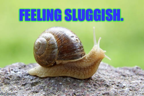 First World Problems Meme - Imgflip