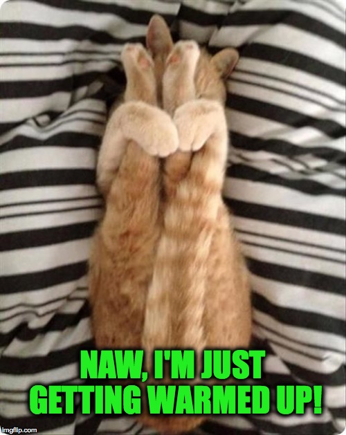 Surprise surprise :-) - Imgflip