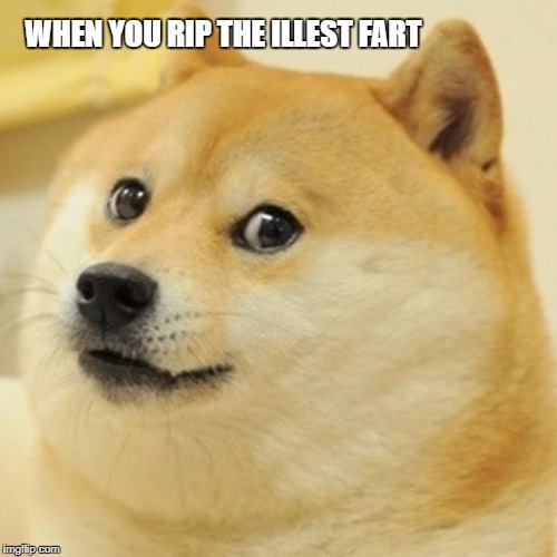 Doge Meme - Imgflip