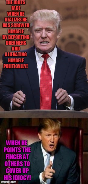 Idjits Do Not A Dreamer Make! - Imgflip