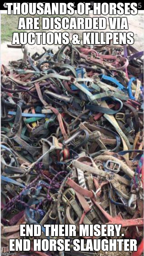 Image tagged in killbuyers/horse slaughter - Imgflip