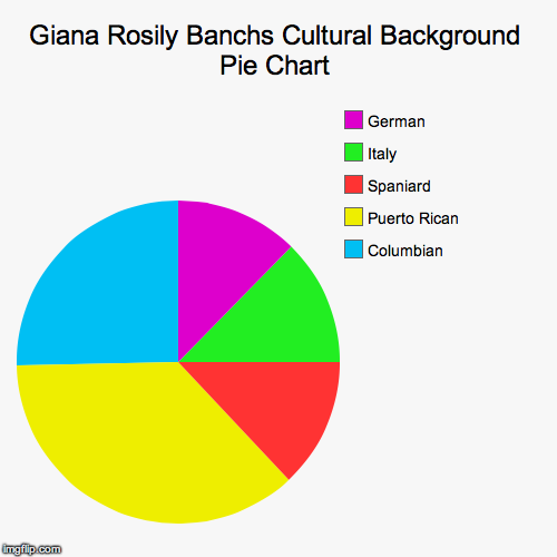 Giana Rosily Banchs Cultural Background Pie Chart - Imgflip