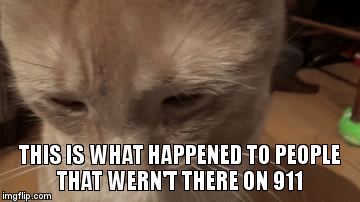 Cat feels sad on 911 - Imgflip
