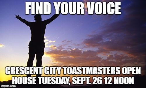 Find your voice - Imgflip