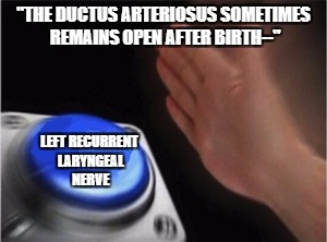 Blank Nut Button Meme - Imgflip