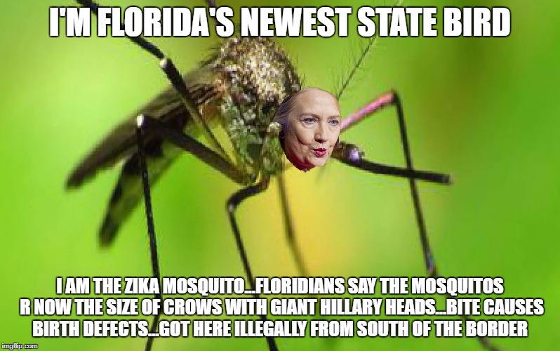 hillary mosquito - Imgflip