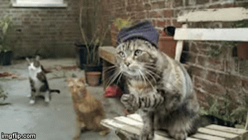 West Side Story - Imgflip