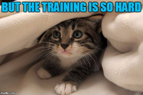 A Happy Cat. - Imgflip