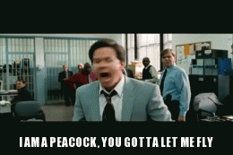 PEACOCK - Imgflip