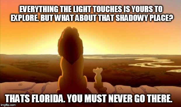 Simba And Mufasa Everything The Light Touches