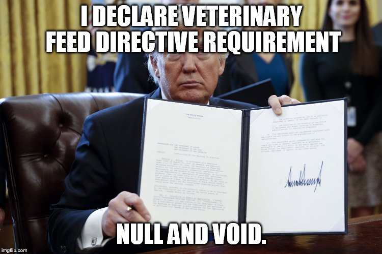 Donald Trump Executive Order - Imgflip