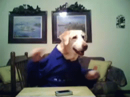 What Up Dawg! - Imgflip