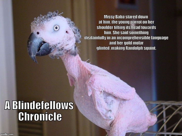 Image tagged in baby grey - Imgflip