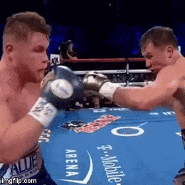Canelo takes a monstrous right, from Golovkin. - Imgflip