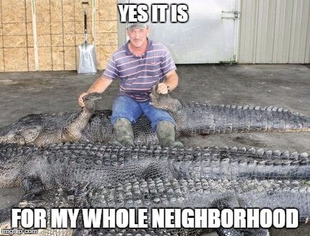 Alligator alley - Imgflip