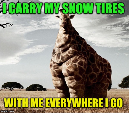 Better get the winter tires out because ''Winter is Coming'' - Imgflip