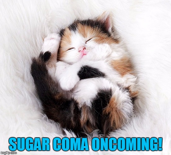 Are You Questioning My Ability (dog) - Imgflip