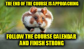 Funny Animals - Imgflip